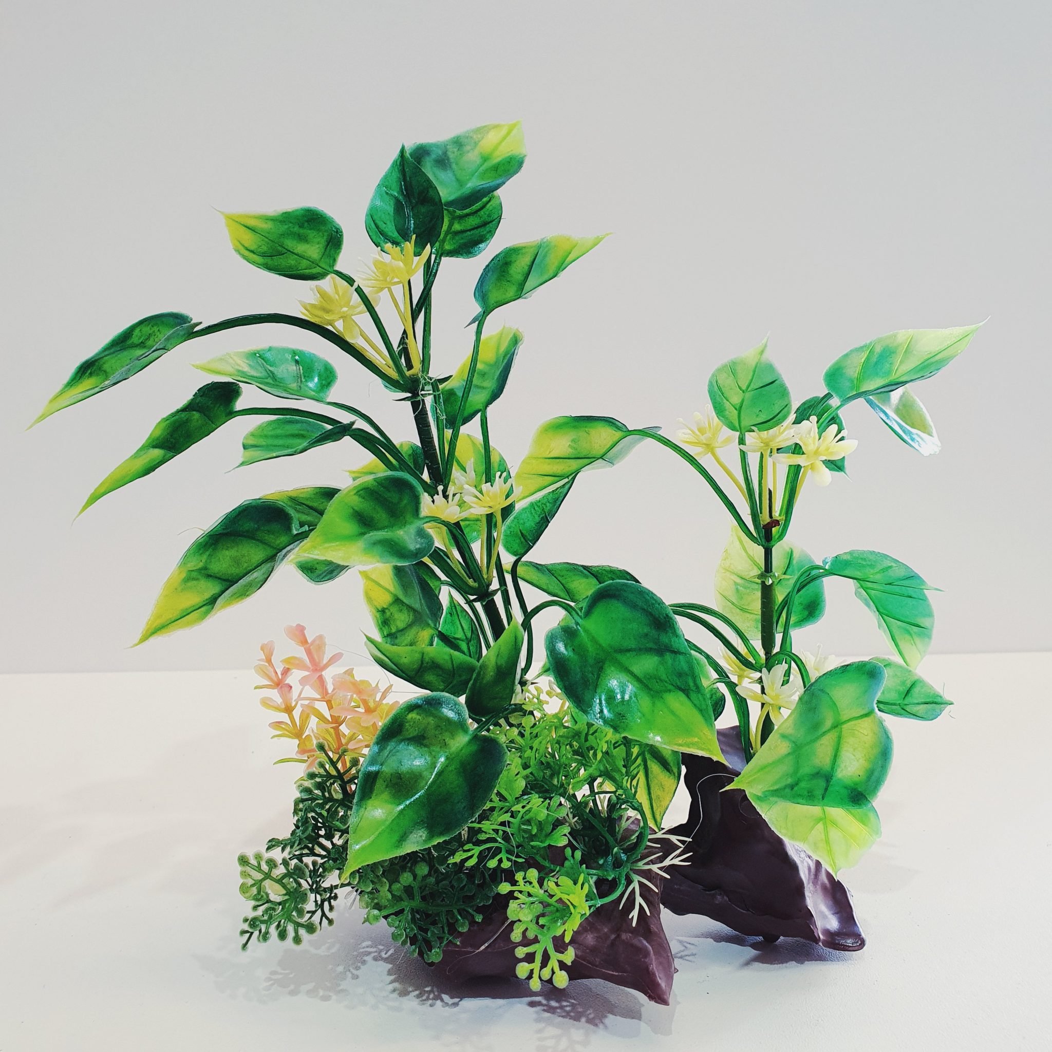 Decorations | Roxy Aquarium