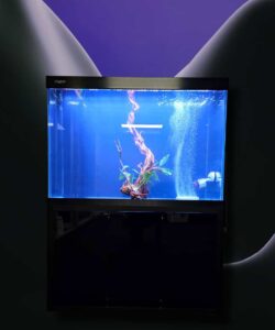 Aquarium Fish Tank 189L (120cm x 35cm x 45cm) 4ft