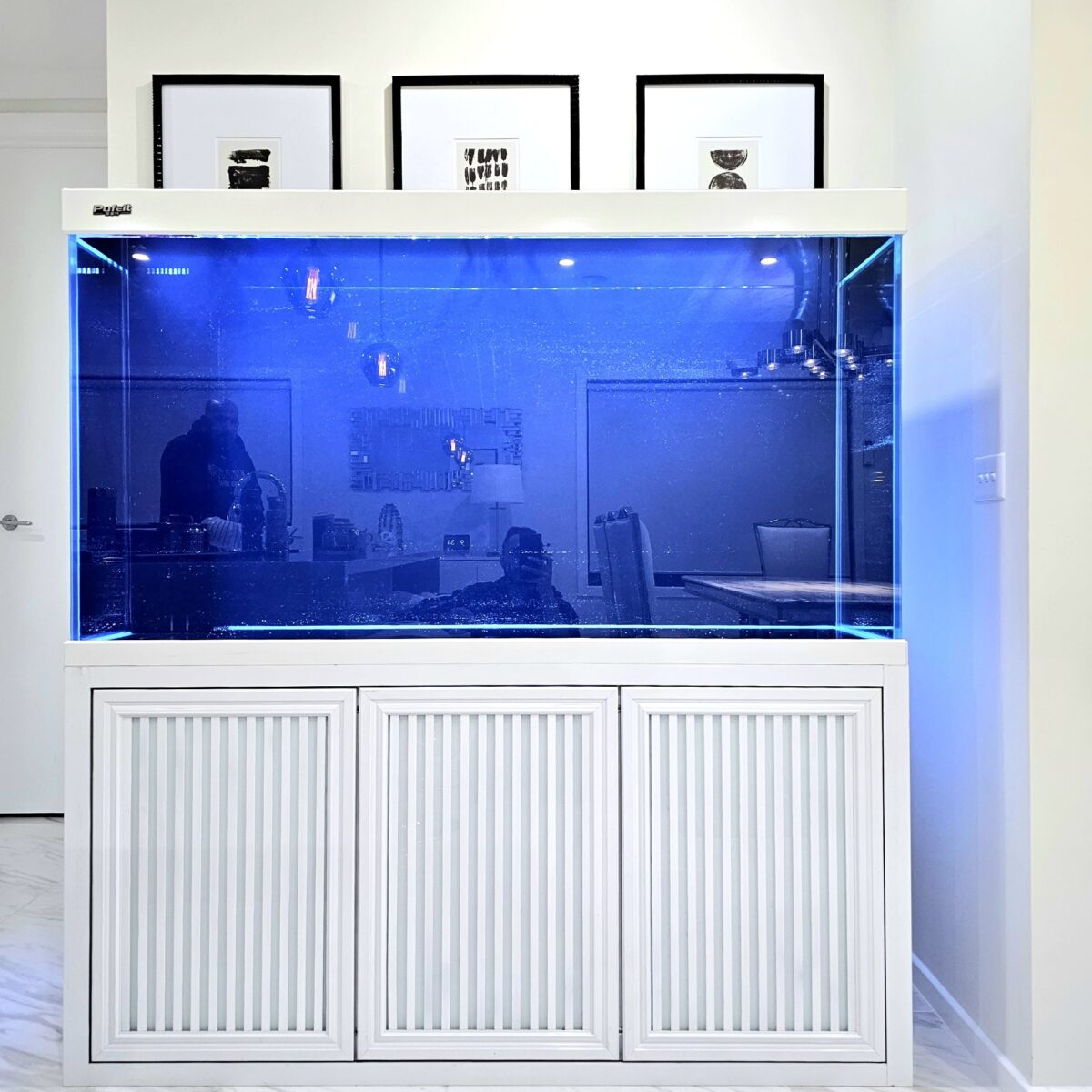 180cm x 50cm x 85cm Ultra Clear Glass Aquarium Sump Setup