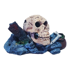 Sunken Skull 20x9x9.5cm Available - Roxy Aquarium