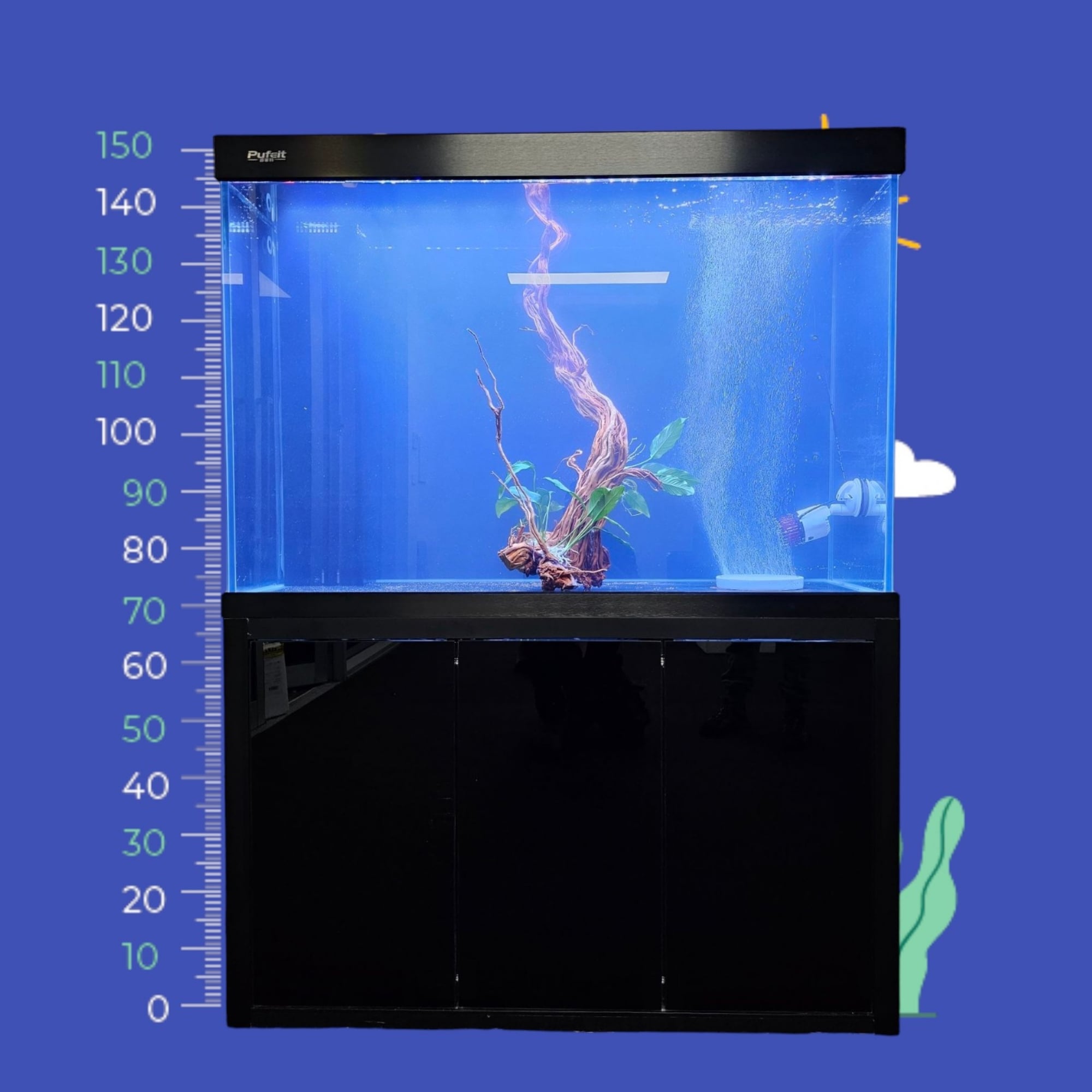 120cm x 50cm x 85cm Ultra Clear Glass Aquarium Sump Setup