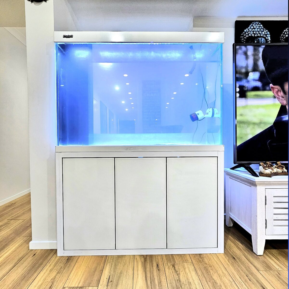 Sump Setup & Marine Tanks - Roxy Aquarium