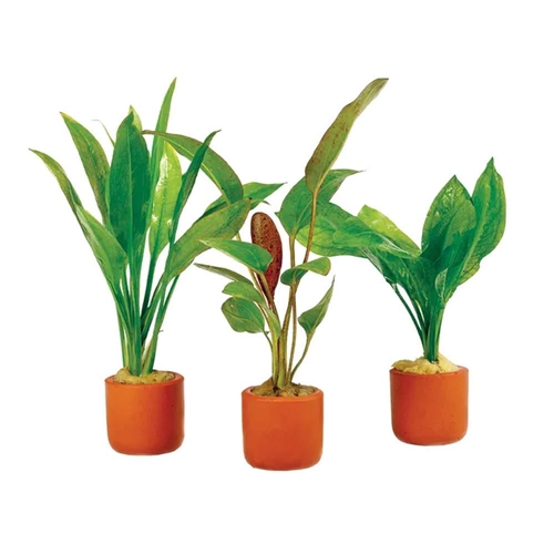 Assorted Swords – 3cm Terracotta Pot