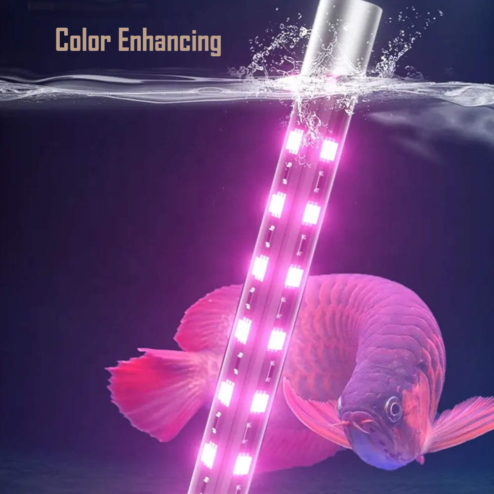 LED Color Enhancing Submersible Light - Roxy Aquarium
