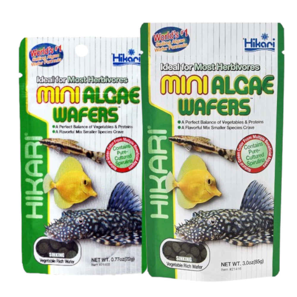 Hikari Mini Algae Wafers Sinking - Roxy Aquarium