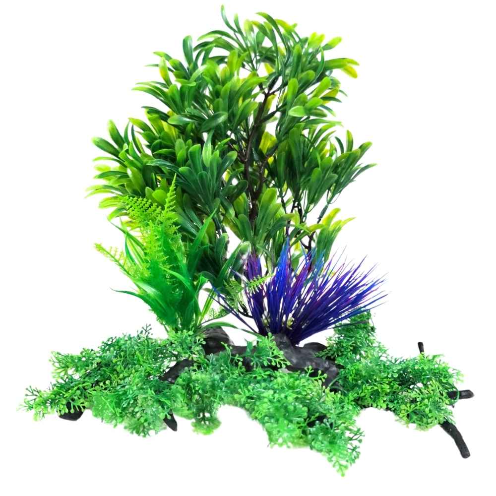 Assorted Green Branch Plants Mixed Colors - Roxy Aquarium