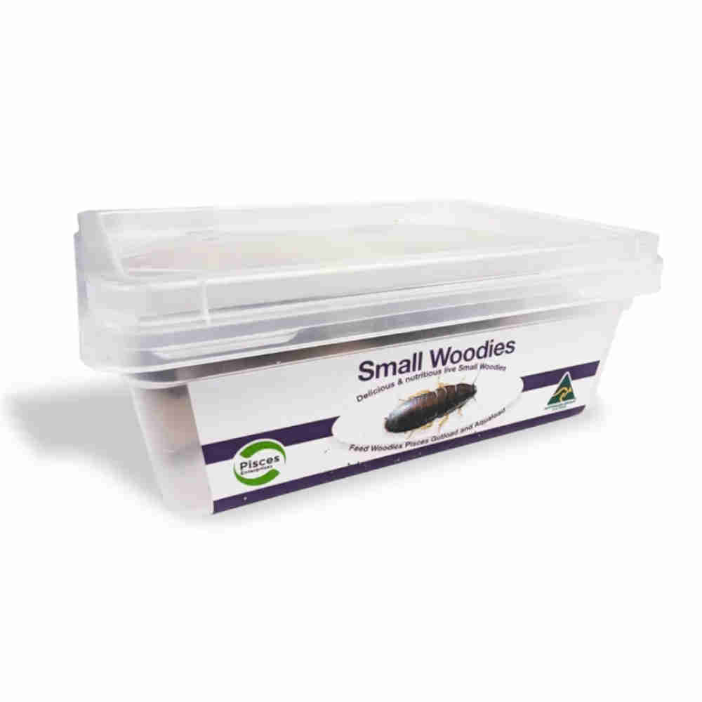 Pisces Woodies Small – 50 Tub - Roxy Aquarium