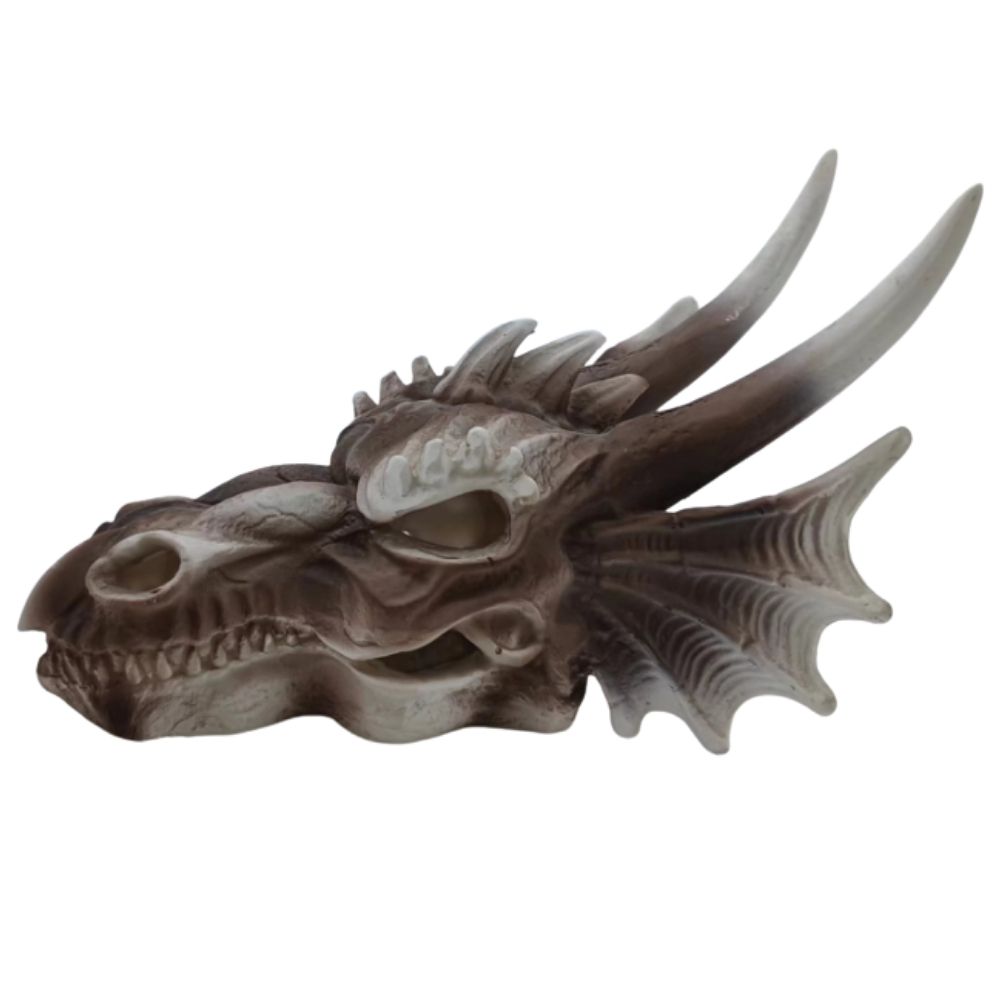 Dragon Skull Skeleton 27.5×19.5x18cm - Roxy Aquarium